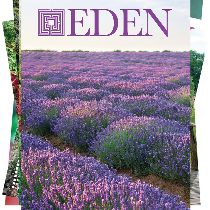 Abonnement op Eden Magazine