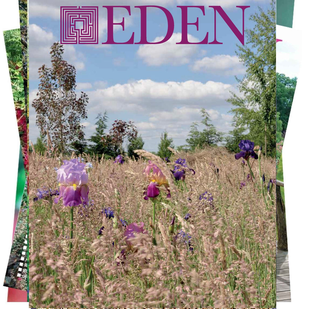 Abonnement op Eden Magazine