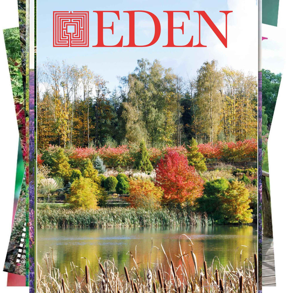Abonnement op Eden Magazine